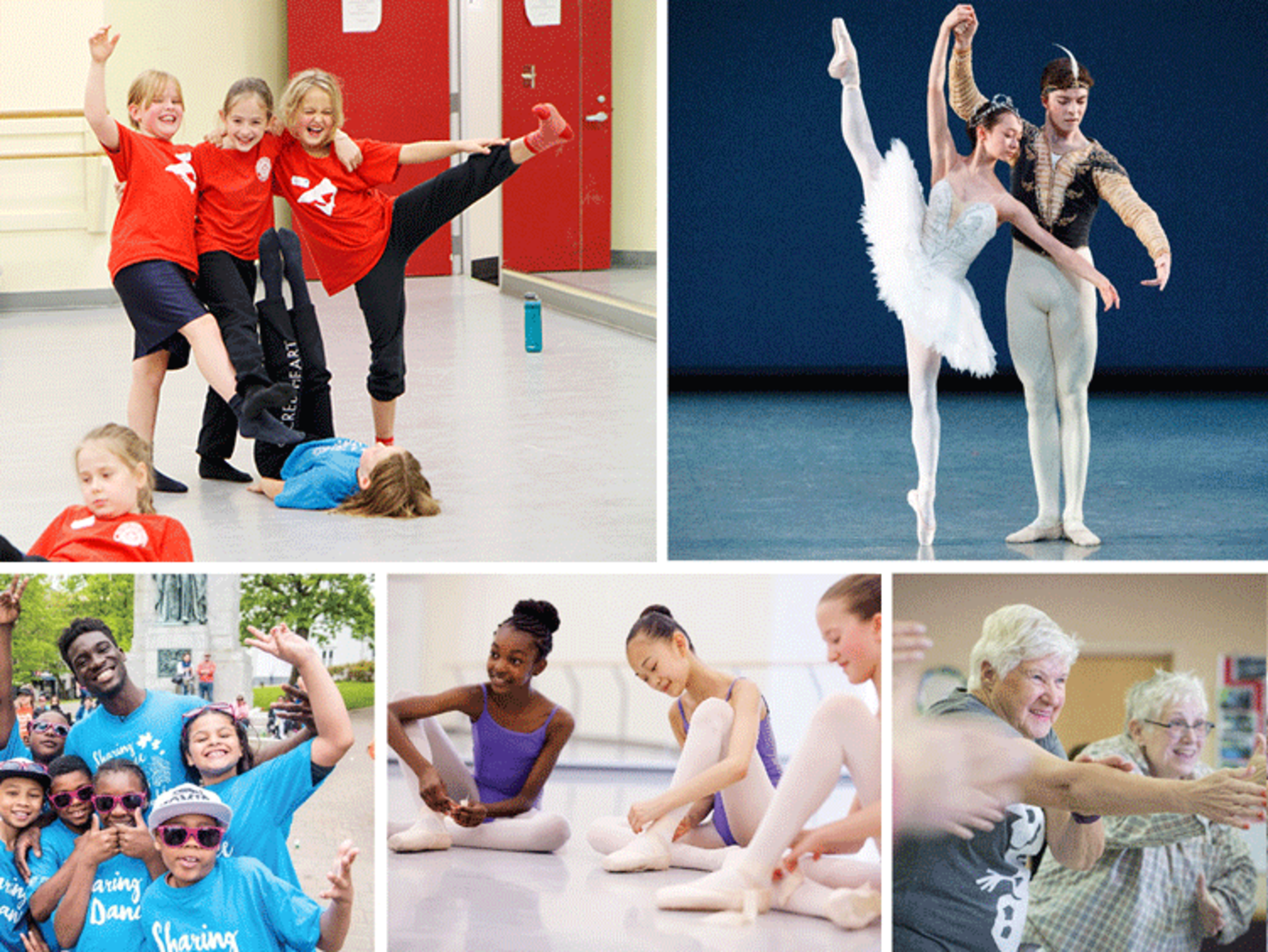 Advancing Ballet Education: NBS Research Institute