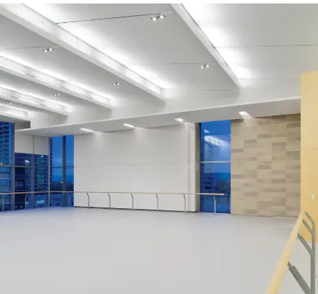 Currie Hall | Canada's National Ballet School